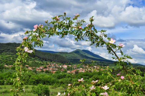 7 идеи за разходки около Велико Търново • Пътешествия без край