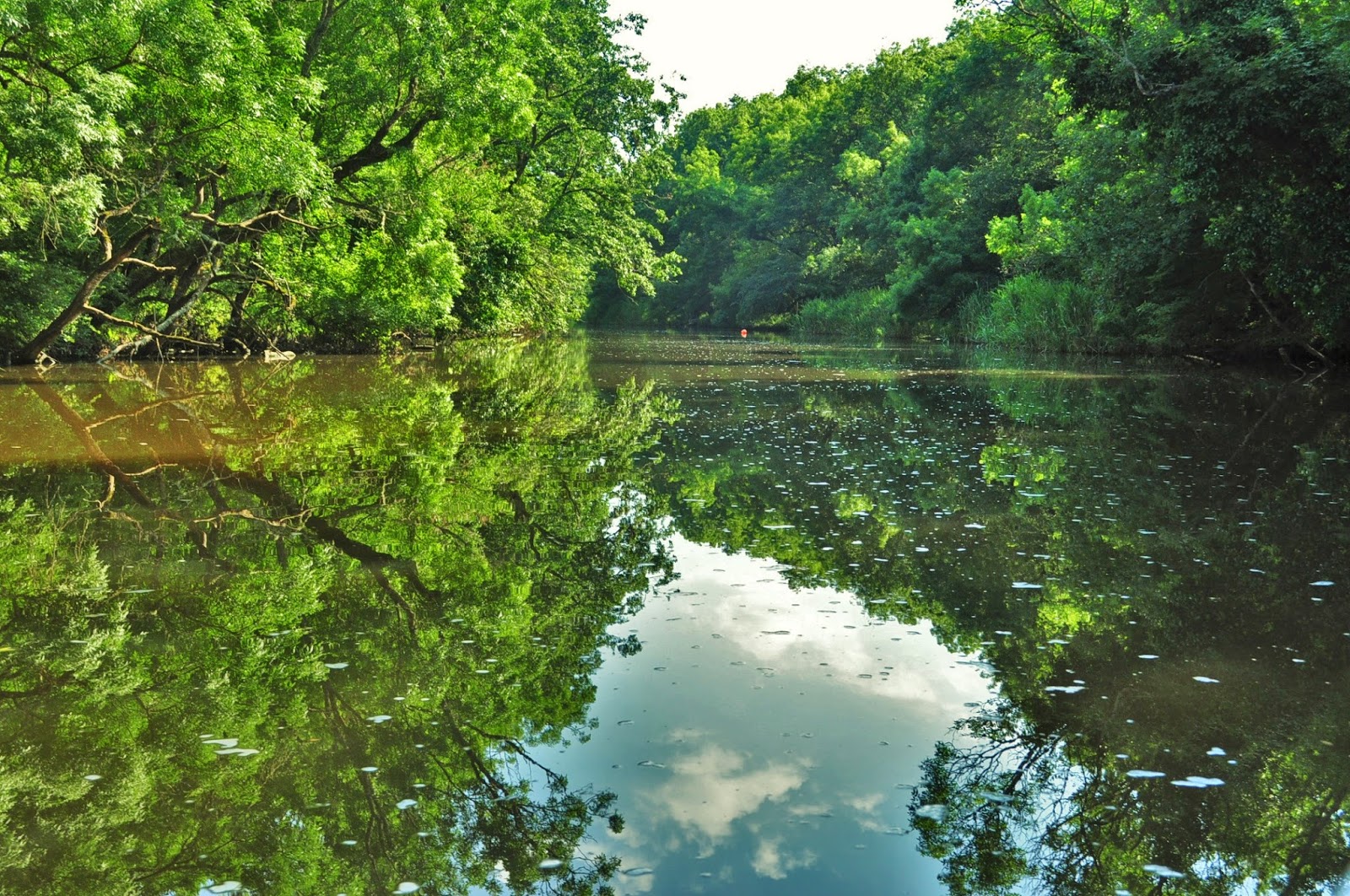 Hidden Bulgaria - Strandzha Mountain • Neverending Journey