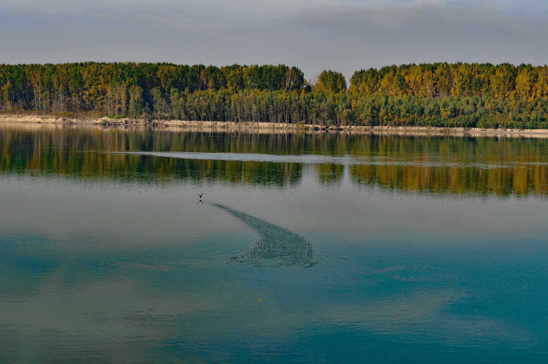 Tutrakan - the unknown Bulgaria • Neverending Journey